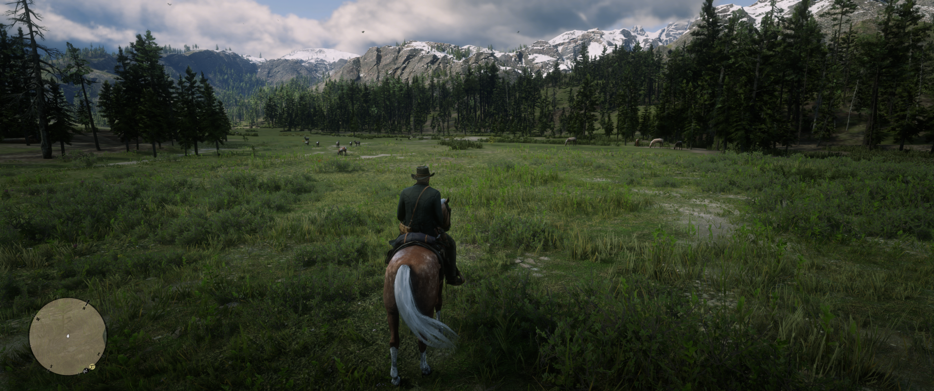 Red Dead Redemption II: A herd of elk in a mountain glade – Alex's Notebook